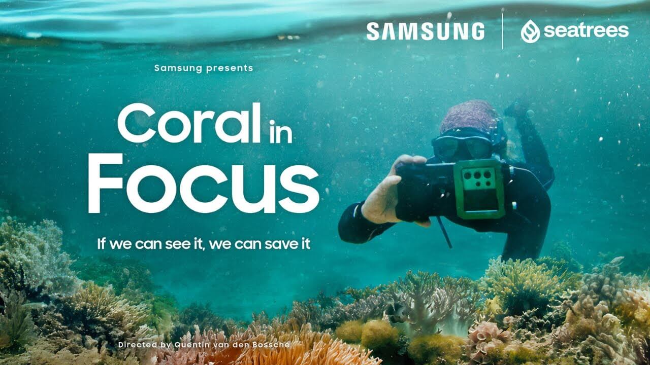 Coral in Focus | A Documentary by Samsung + Seatrees - Foiling Magazine